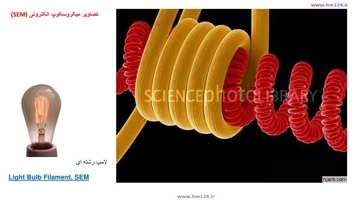 PPT - Light Bulb Filament, SEM PowerPoint Presentation, free download ...
