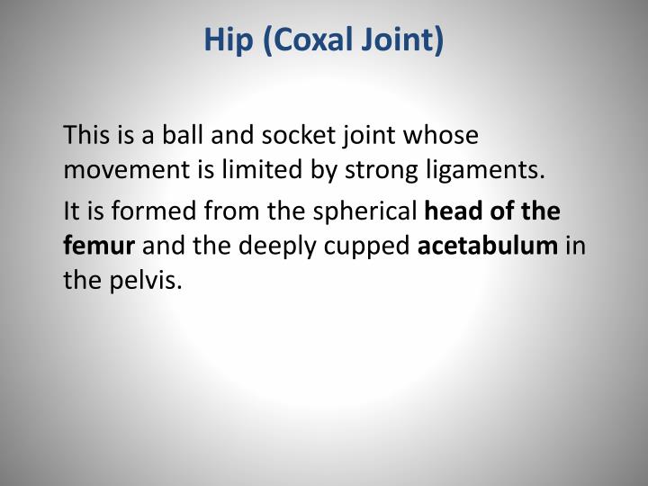 PPT - Types of Synovial Joints PowerPoint Presentation - ID:1937096