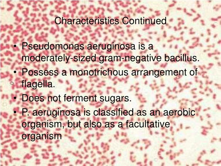 PPT - Pseudomonas aeruginosa PowerPoint Presentation - ID:1937324