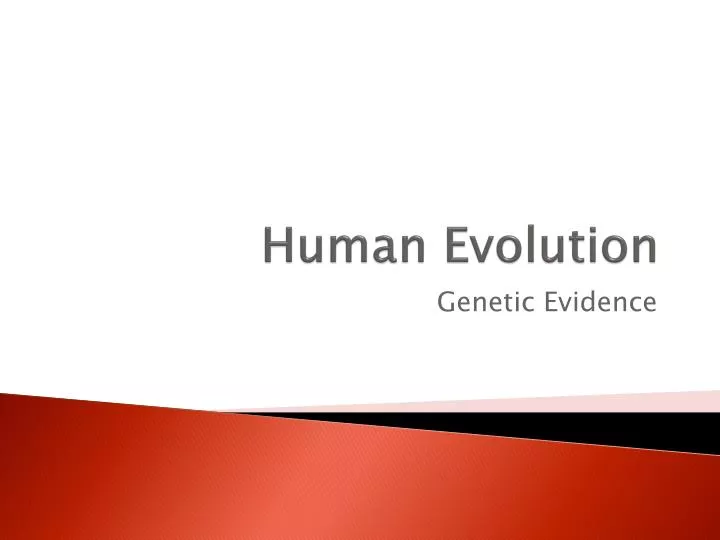 PPT - Human Evolution PowerPoint Presentation, free download - ID:1937576