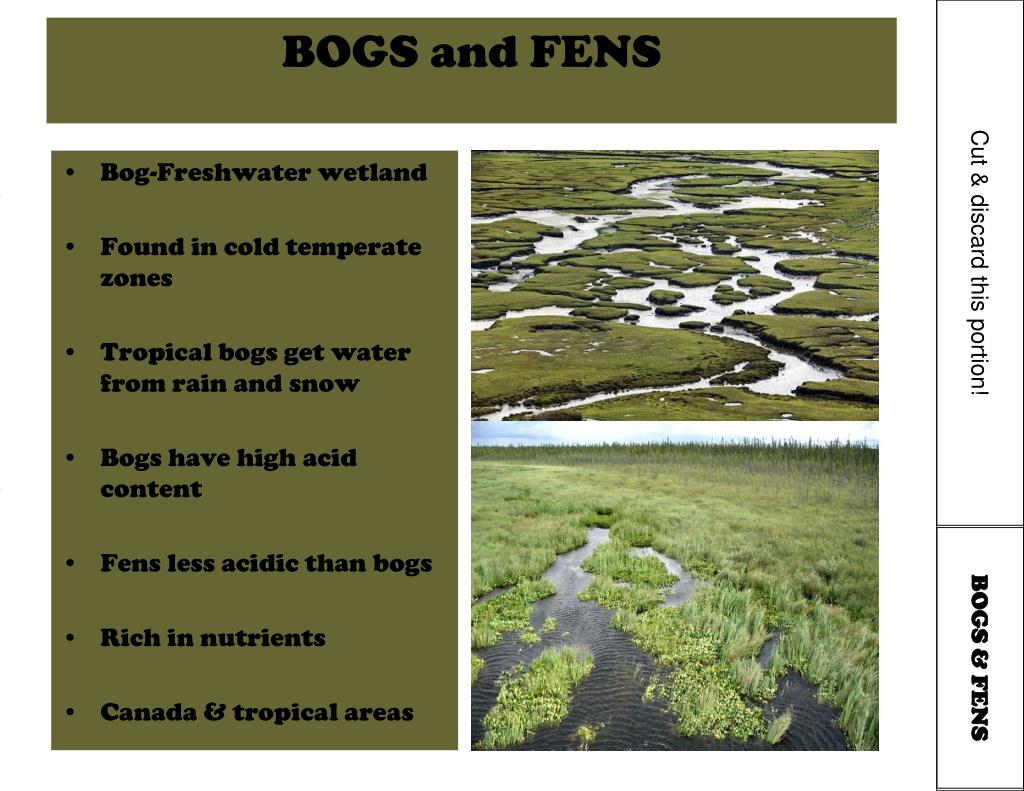 PPT - This is your cover page. Cut & discard this portion. PowerPoint ...