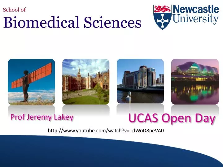 PPT - UCAS Open Day PowerPoint Presentation, free download - ID:1937777