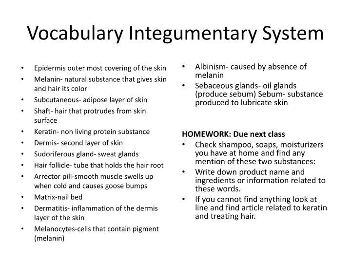 PPT - Vocabulary Integumentary System PowerPoint Presentation, free ...