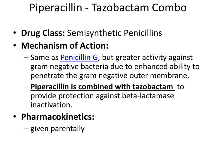 PPT - Beta- Lactamase Inhibitors PowerPoint Presentation - ID:1937995