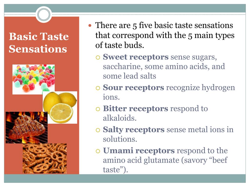 PPT - Special Senses: Taste PowerPoint Presentation, free download - ID ...