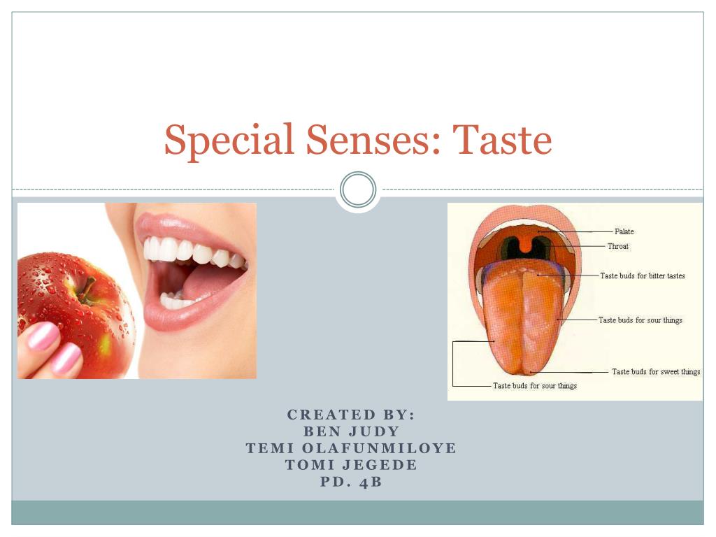PPT - Special Senses: Taste PowerPoint Presentation, free download - ID ...