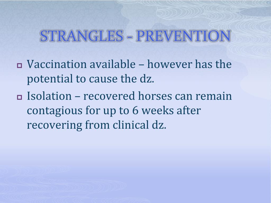 PPT - EQUINE RESPIRATORY DISEASES PowerPoint Presentation, free ...