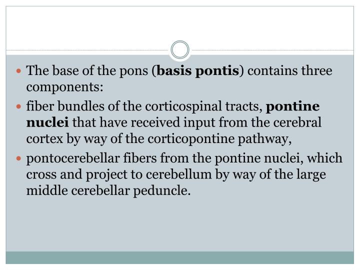 PPT - Pons PowerPoint Presentation - ID:1938748