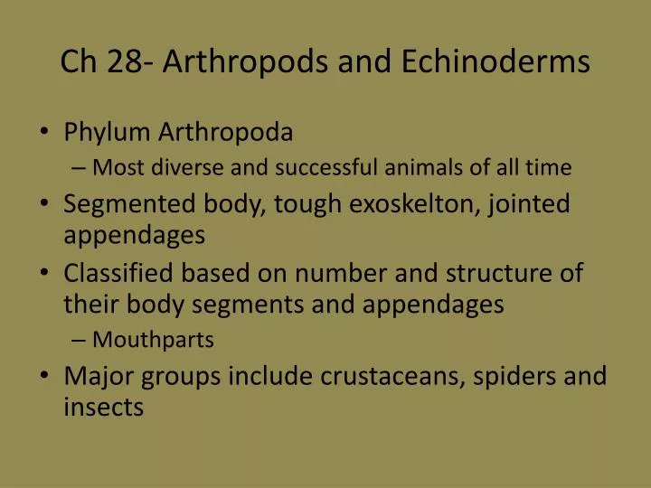 PPT - Ch 28- Arthropods and Echinoderms PowerPoint Presentation, free ...