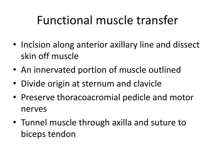 PPT - Scapular, Parascapular and P ectoralis Flaps PowerPoint ...