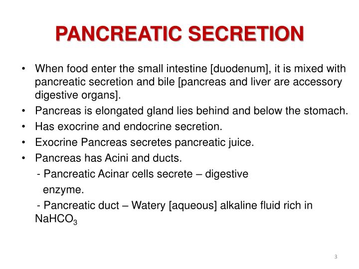 PPT - PANCREATIC SECRETION PowerPoint Presentation - ID:1939168