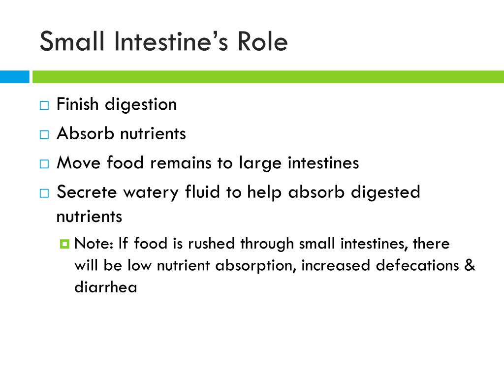 PPT - Secretin - a hormone that stimulates basic pancreatic juices ...
