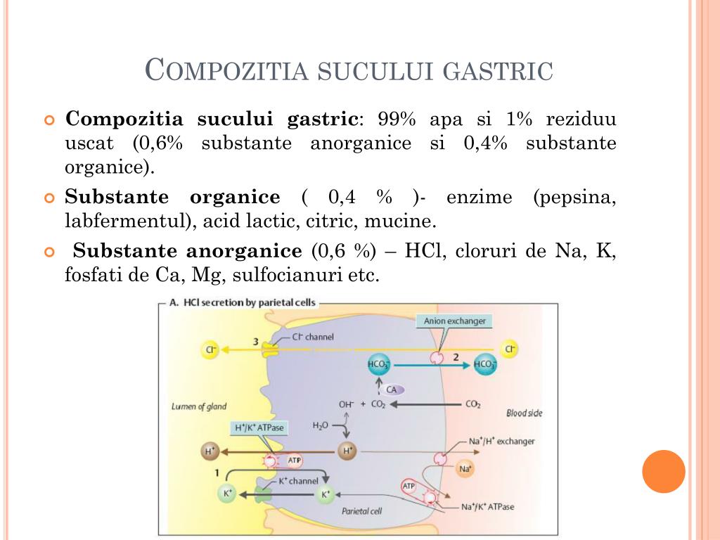 PPT - Aciditatea sucului gastric si a citricelor PowerPoint ...