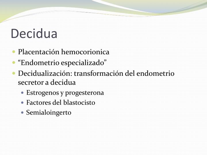 PPT - Decidua PowerPoint Presentation - ID:1939890