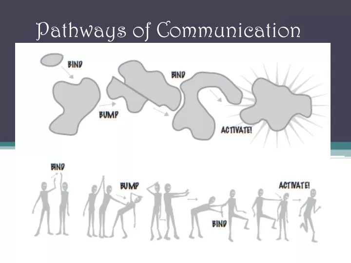 PPT - Pathways of Communication PowerPoint Presentation, free download ...