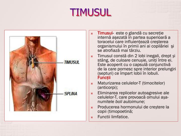 PPT - COLEGIUL POLITEHNIC DIN MUN. CHI ŞINĂU PowerPoint Presentation ...