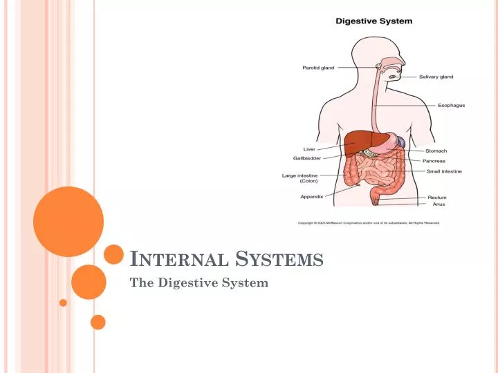 PPT - Internal Systems PowerPoint Presentation, free download - ID:1940220