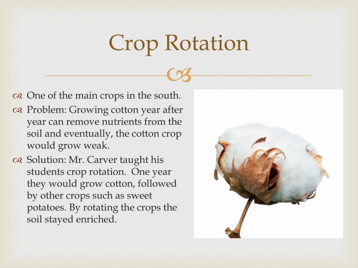 PPT - George Washington Carver PowerPoint Presentation - ID:1940386