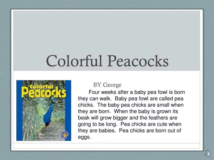 PPT - Colorful Peacocks PowerPoint Presentation, free download - ID:1940661