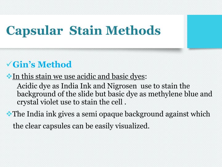 PPT - Endospore Staining PowerPoint Presentation - ID:1940792
