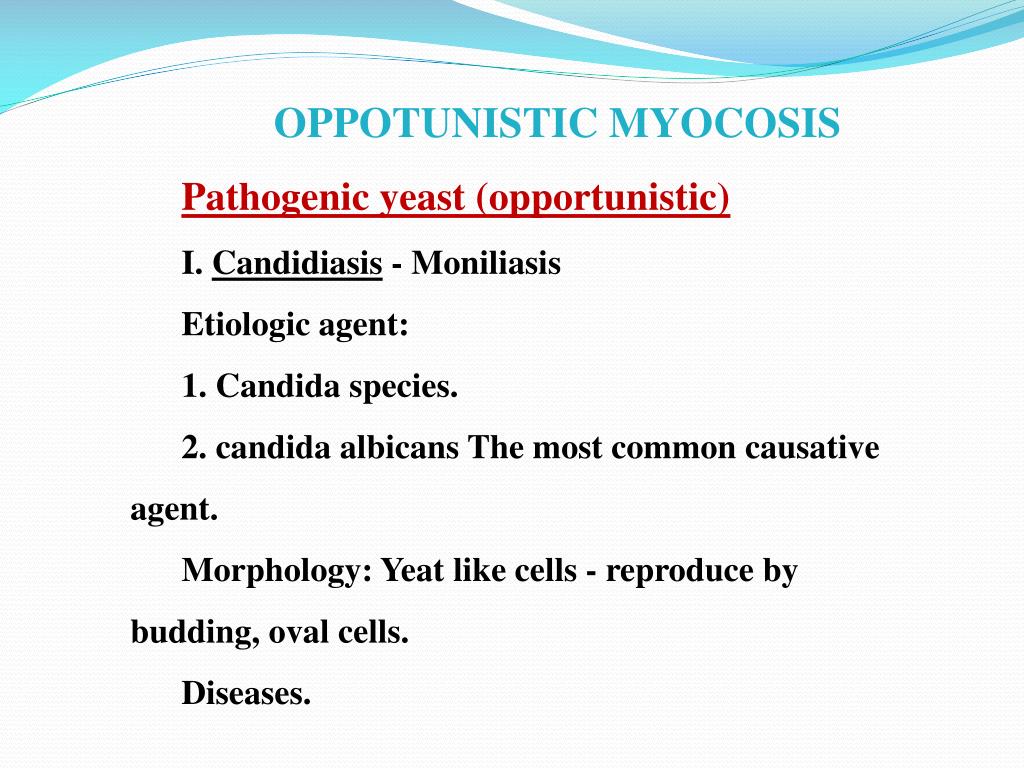 PPT - OPPOTUNISTIC MYOCOSIS Pathogenic yeast (opportunistic) I ...