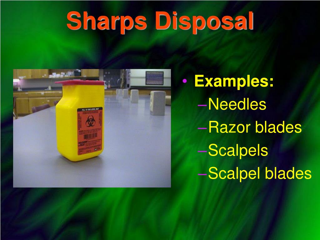 PPT - LABORATORY CONDUCT AND SAFETY REGULATIONS (Indoor & Field Safety ...