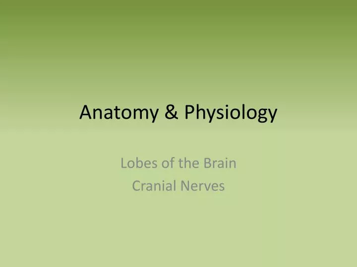 PPT - Anatomy & Physiology PowerPoint Presentation, free download - ID:1942043