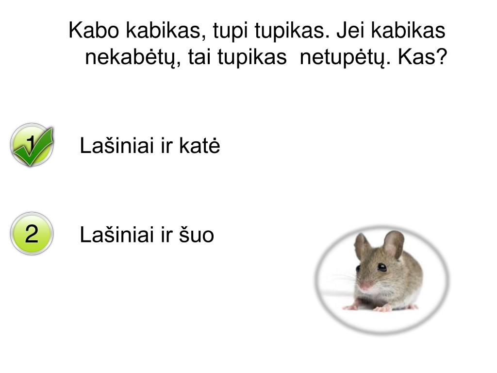 PPT - Dalykas, ugdymo sritis: Tema: Klasė: Priemonės paskirtis ...