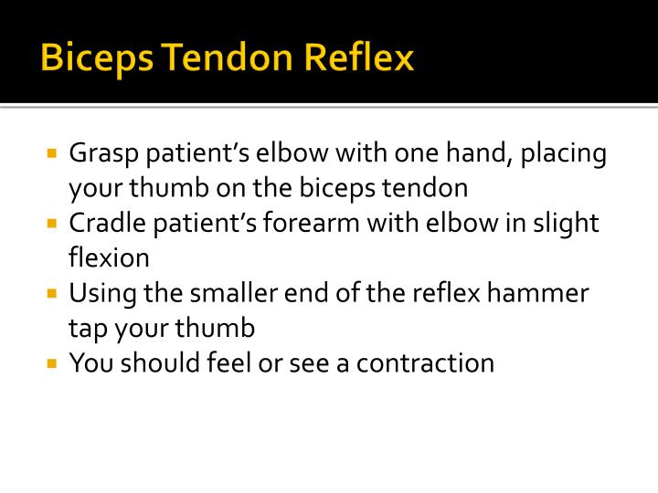 PPT - Reflexes PowerPoint Presentation - ID:1942763