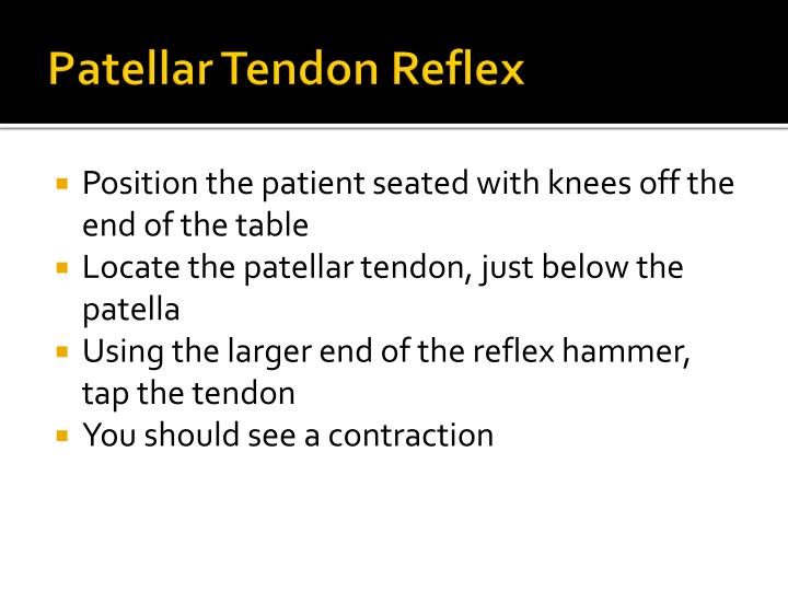 Patellar Tendon Reflex
