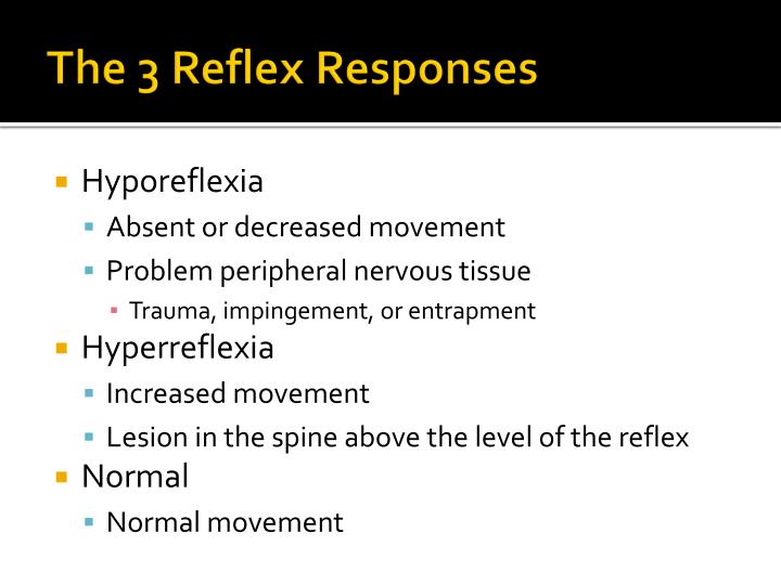 PPT - Reflexes PowerPoint Presentation - ID:1942763