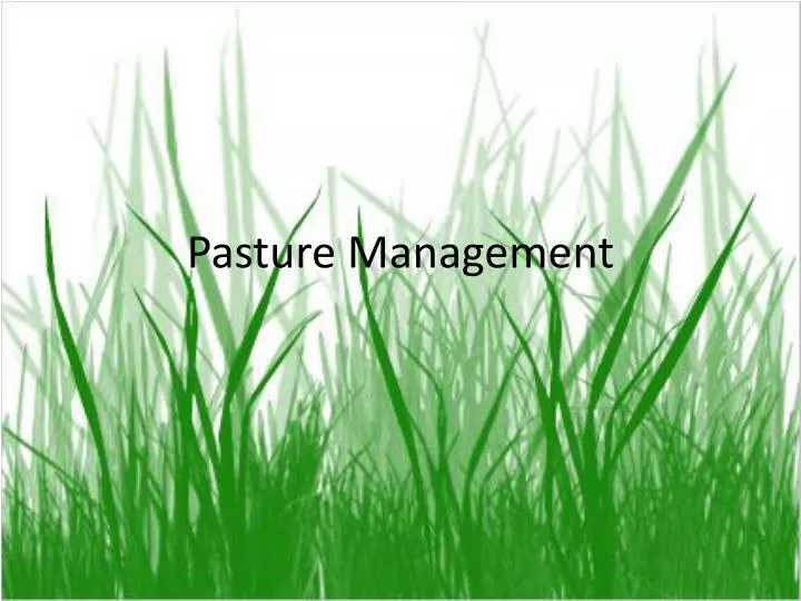 PPT - Pasture Management PowerPoint Presentation, free download - ID ...