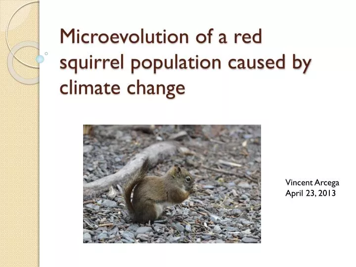 PPT - Microevolution of a red squirrel population caused by climate ...