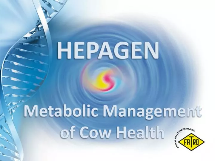 PPT - HEPAGEN PowerPoint Presentation, free download - ID:1943344