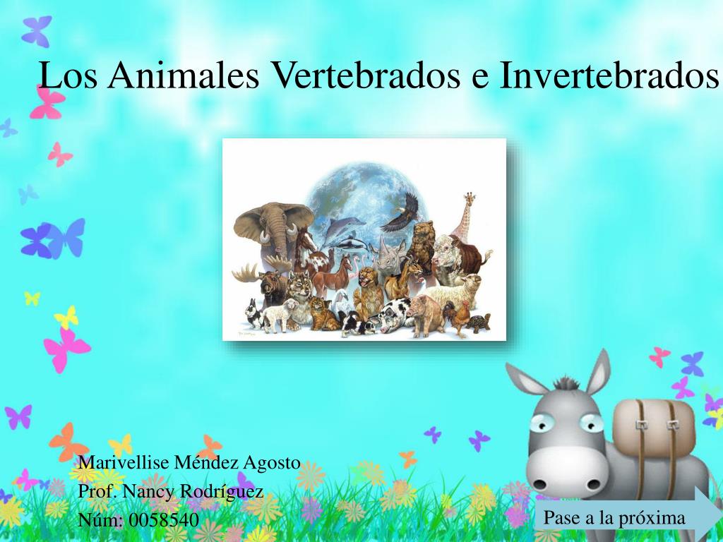 PPT - Los Animales Vertebrados e Invertebrados PowerPoint Presentation ...