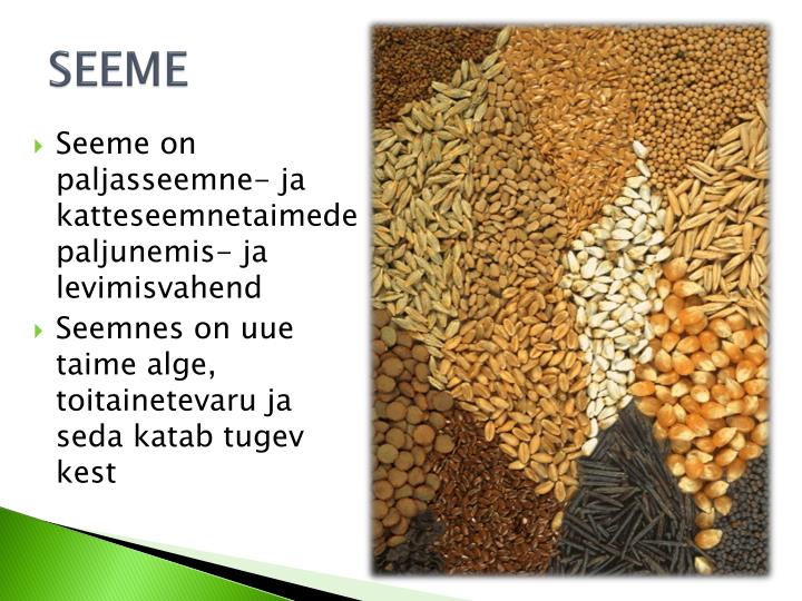 PPT - SEEME VEGETATIIVNE PALJUNEMINE PowerPoint Presentation - ID:1943593