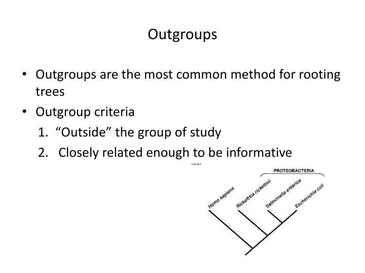 PPT - Outgroups PowerPoint Presentation, free download - ID:1943784