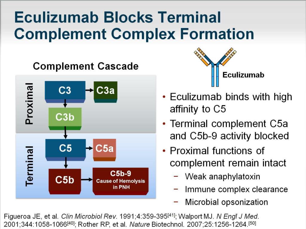 PPT - Emerging Clinical Insights Into Paroxysmal Nocturnal ...