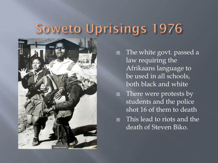PPT - Apartheid in South Africa PowerPoint Presentation - ID:1944238