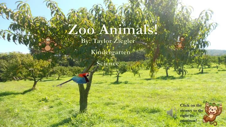 PPT - Zoo Animals! PowerPoint Presentation, free download - ID:1944412