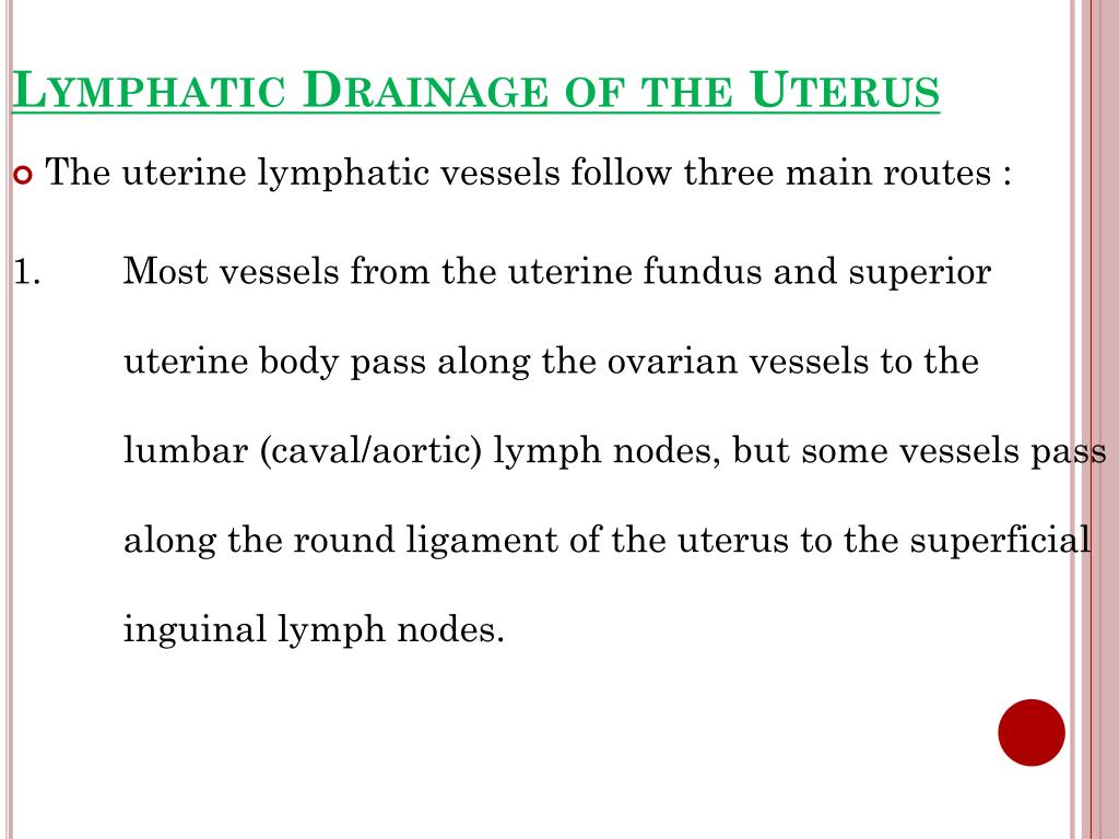 Ppt Uterus Powerpoint Presentation Free Download Id1944619