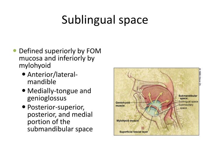 PPT - Complex Odontogenic Infections PowerPoint Presentation - ID:1944812