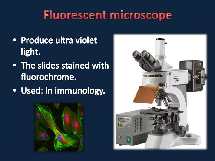 PPT - Microscopy PowerPoint Presentation - ID:1944824