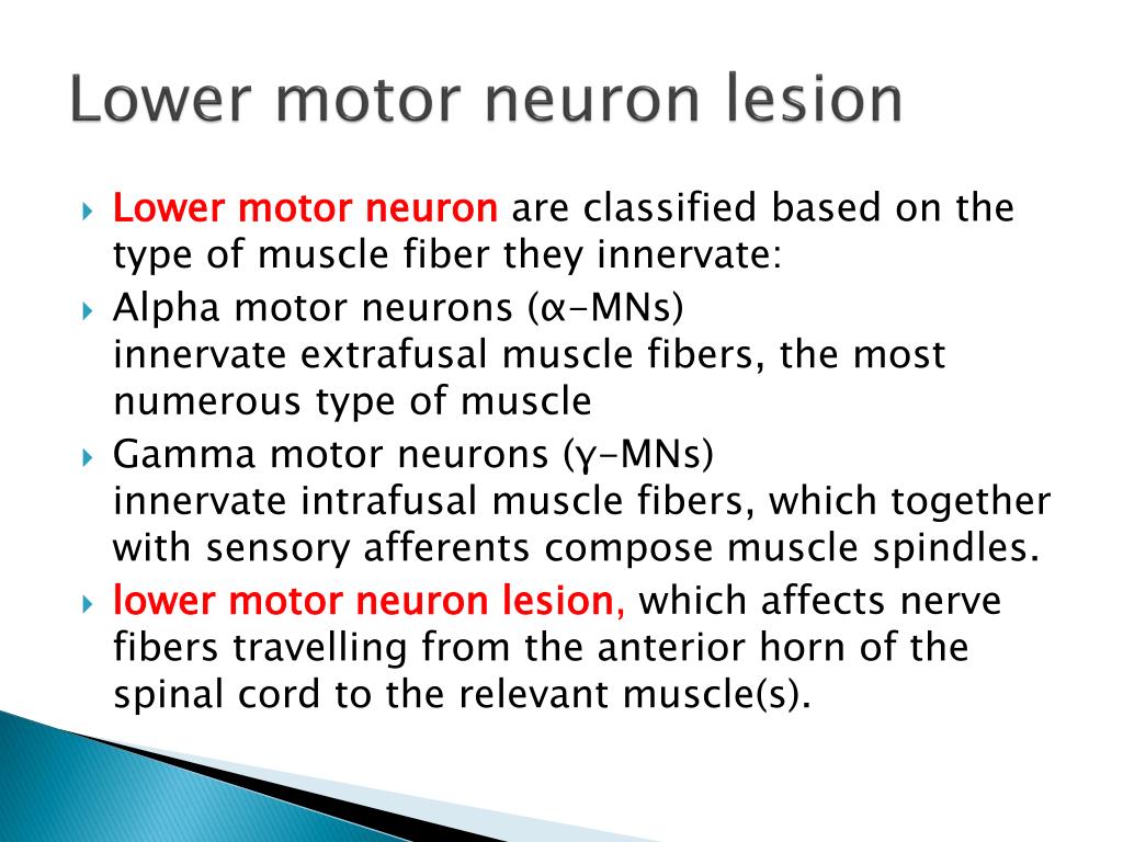 PPT - Dr Abdulrahman Alhowikan Collage of medicine Physiology Dep ...