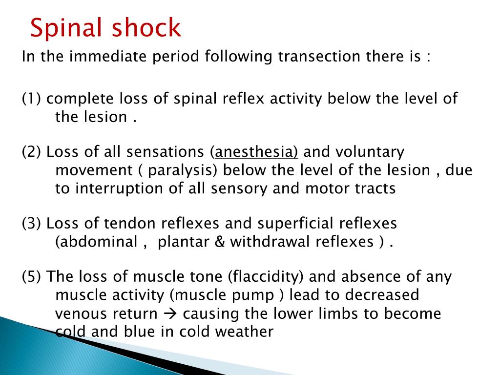 PPT - Dr Abdulrahman Alhowikan Collage of medicine Physiology Dep ...