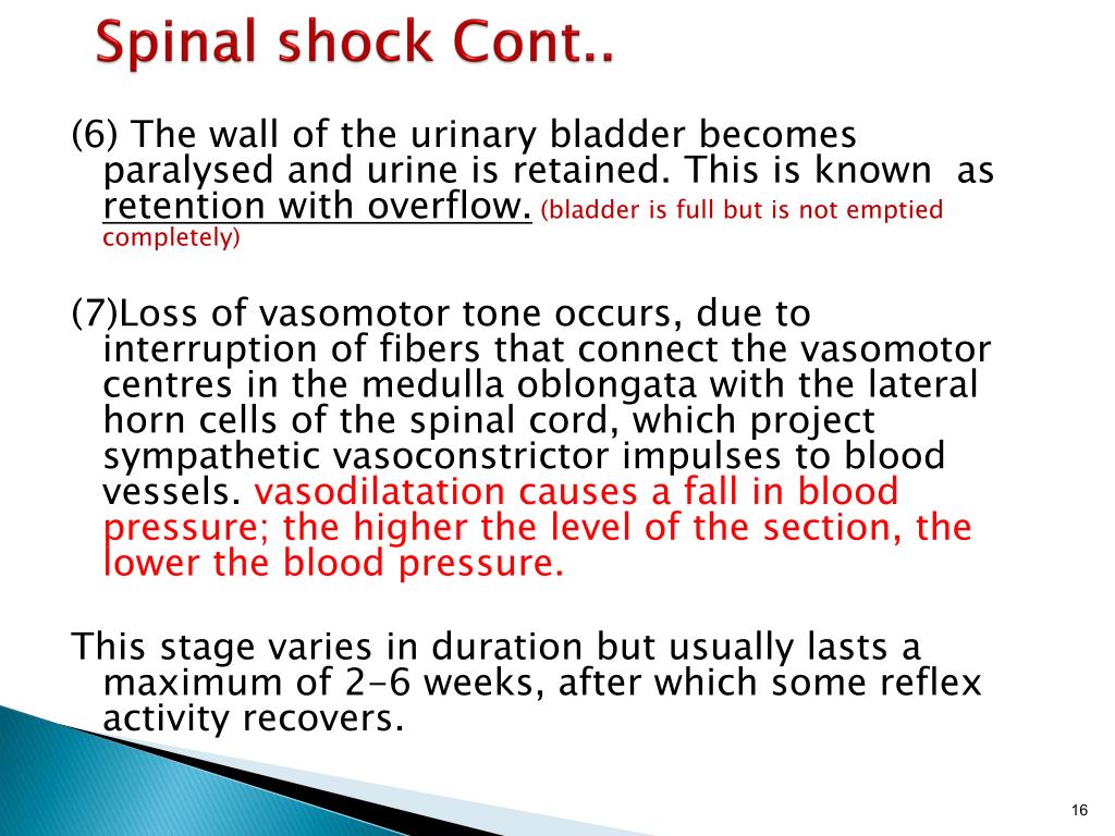 PPT - Dr Abdulrahman Alhowikan Collage of medicine Physiology Dep ...