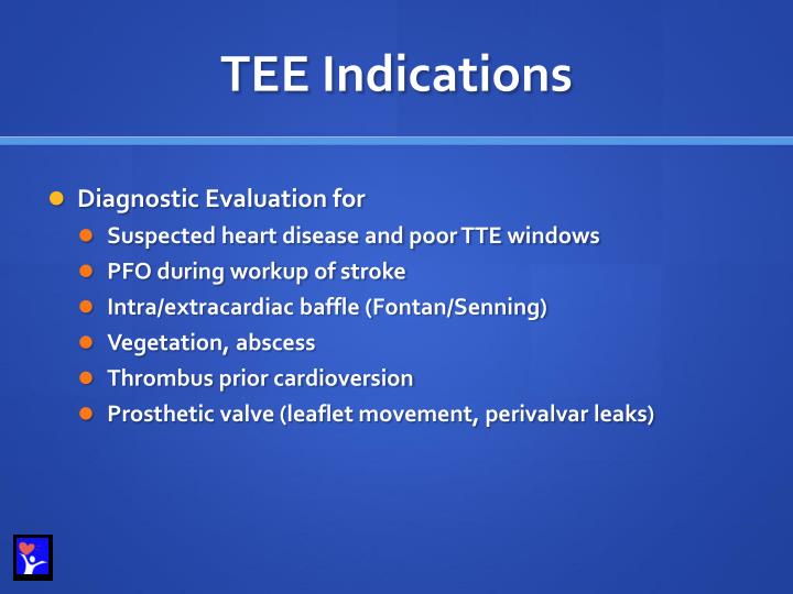 PPT - Back To Basics: Echo PowerPoint Presentation - ID:1945514