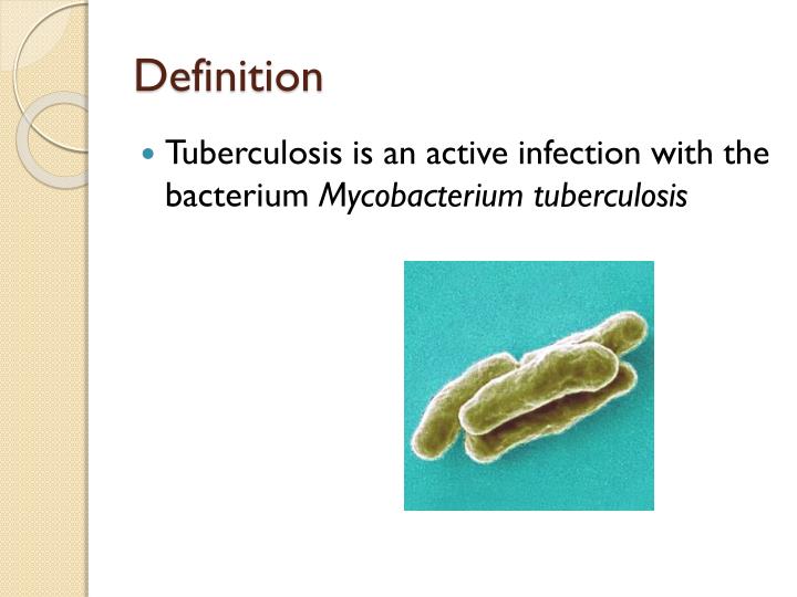 PPT - Pulmonary tuberculosis PowerPoint Presentation - ID:1945699