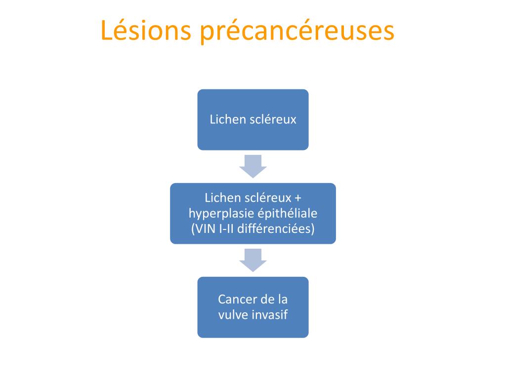 PPT - Cancer de la vulve Epidémiologie et Lésions précancéreuses ...
