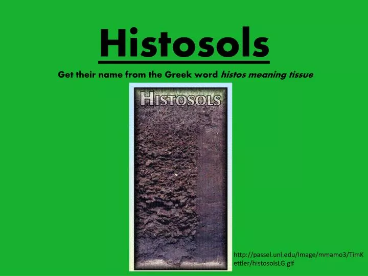 PPT - Histosols PowerPoint Presentation, free download - ID:1946112